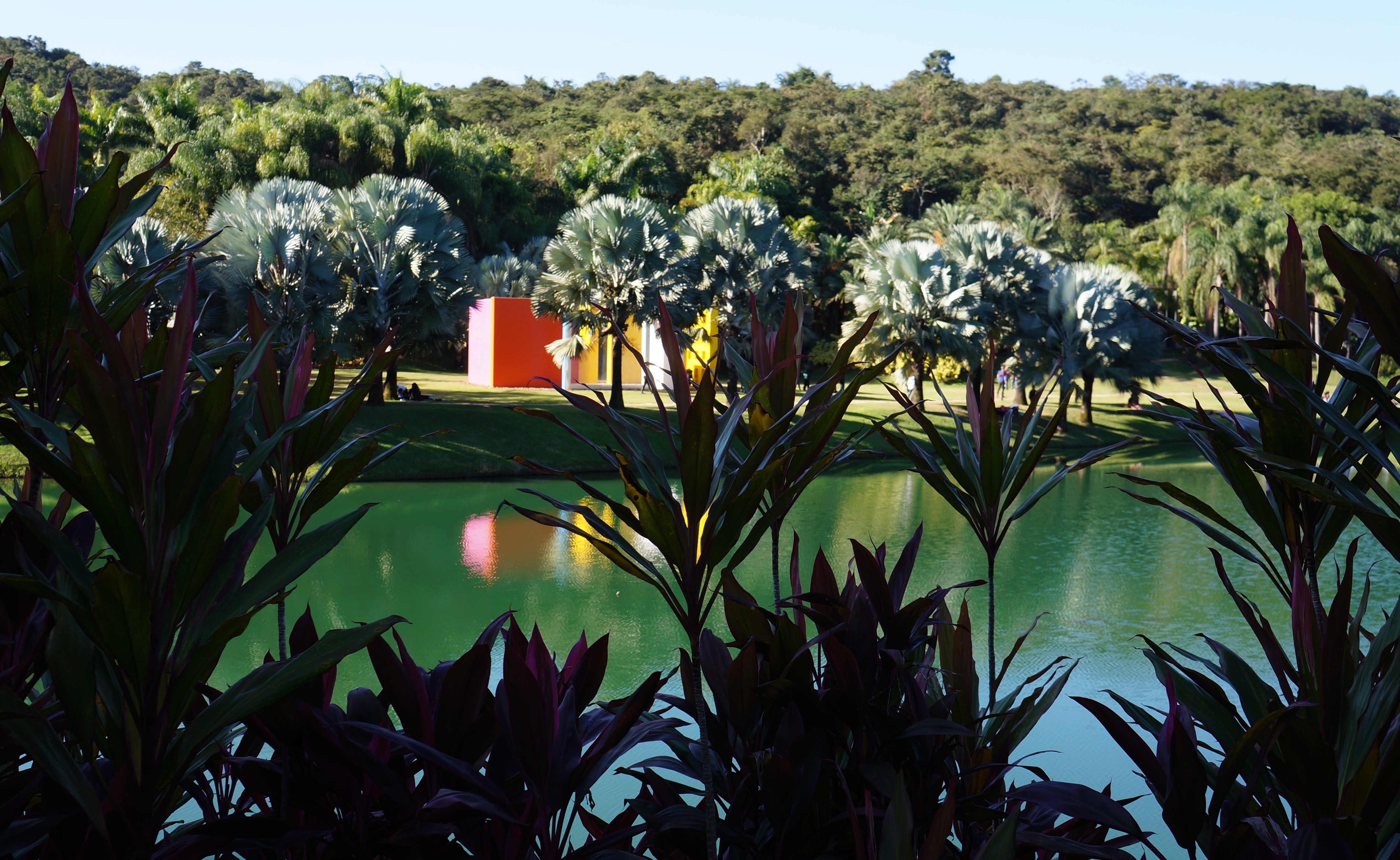 Inhotim, um lugar encantador no Brasil | Esperanza Education