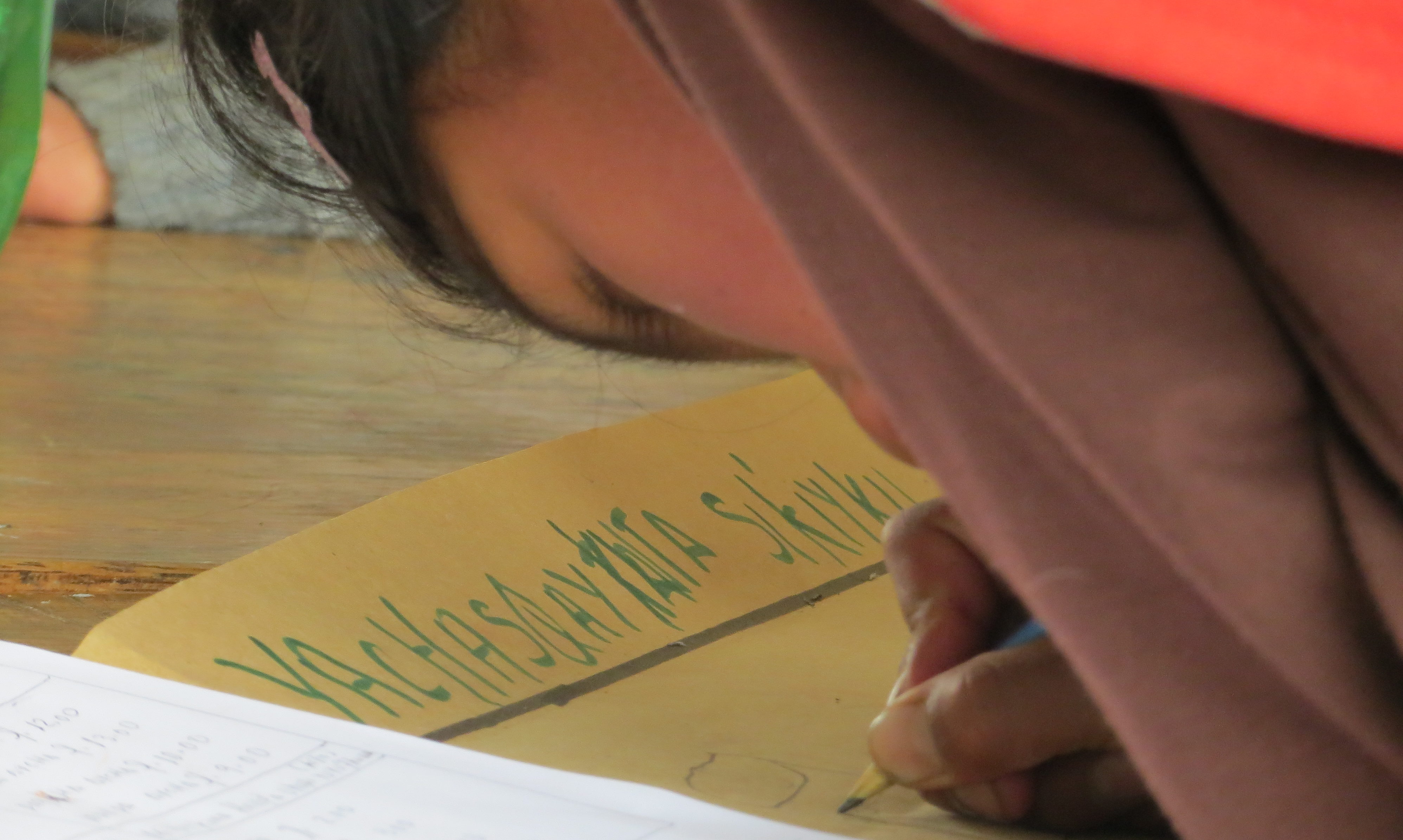 Curriculum Development for Indigenous Languages | Esperanza Education
