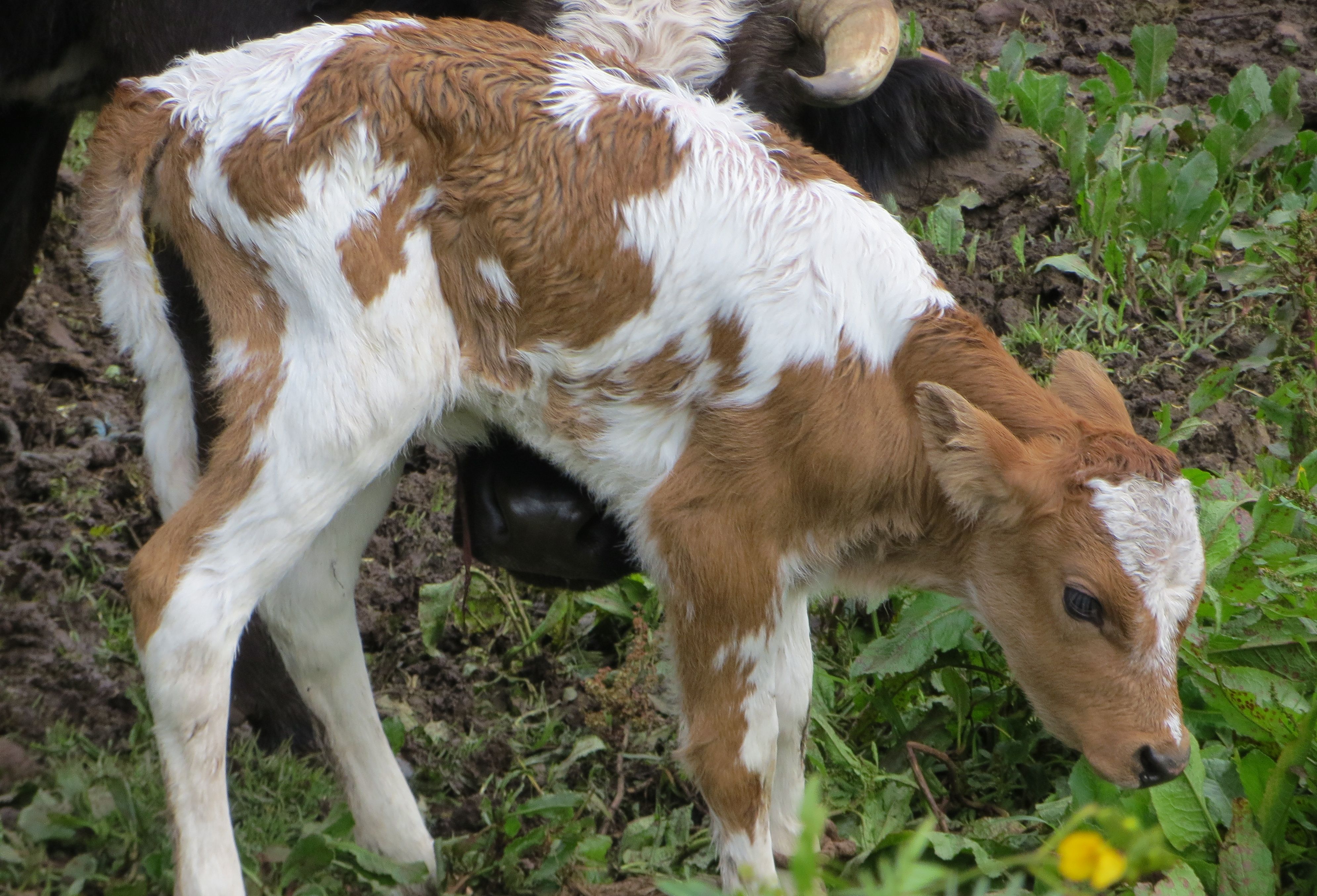 15 Photos from Rural Peru | Esperanza Education